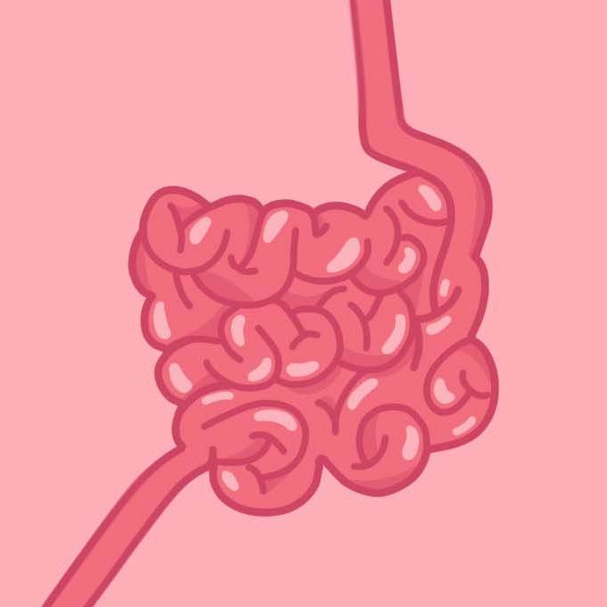 What is Irritable Bowel Syndrome (IBS) - Boots Health Hub | Boots