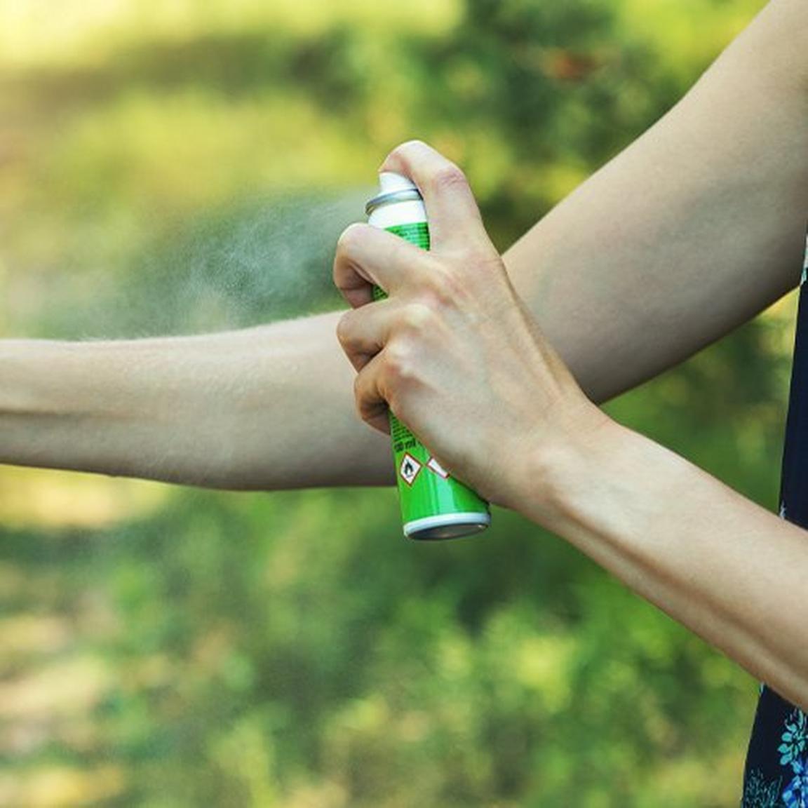 What is Lyme Disease? | Boots