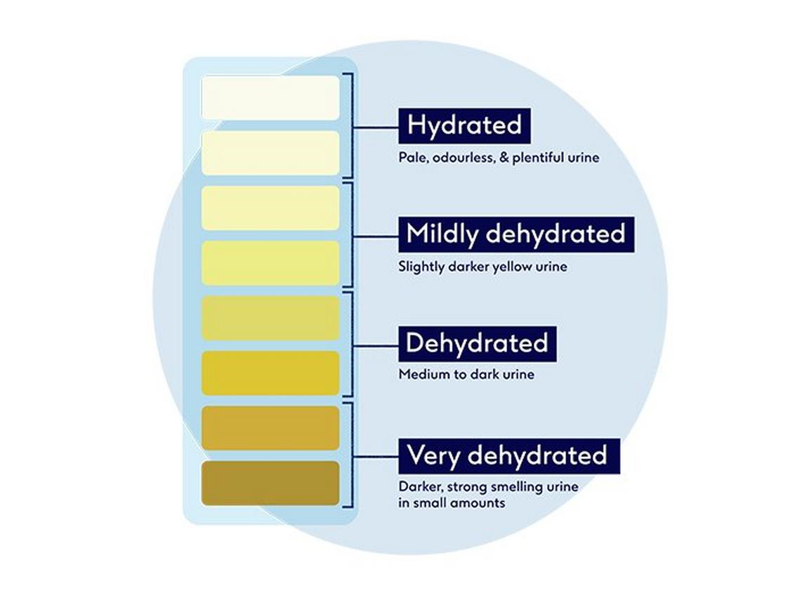 Why does my pee change colour? – Boots Health Hub | Boots